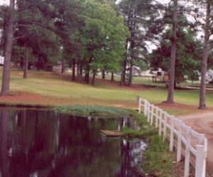 Texarkana RV Park & Campground in Texarkana, TX